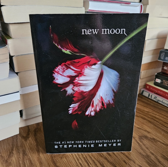 Accents | New Moon By Stephanie Meyer | Poshmark